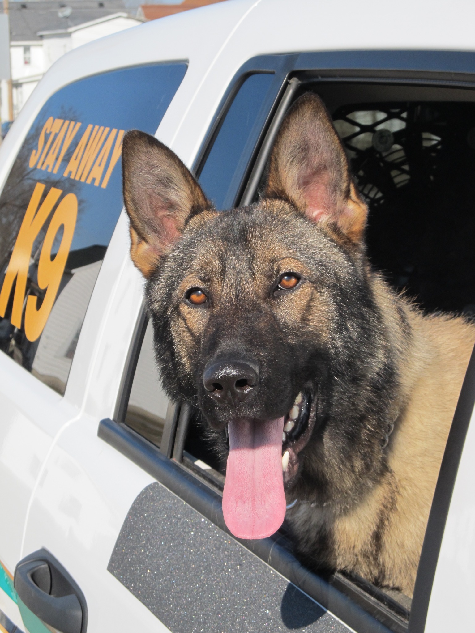 RIP to K9 Akim | WASHOE COUNTY K9 PARTNERS