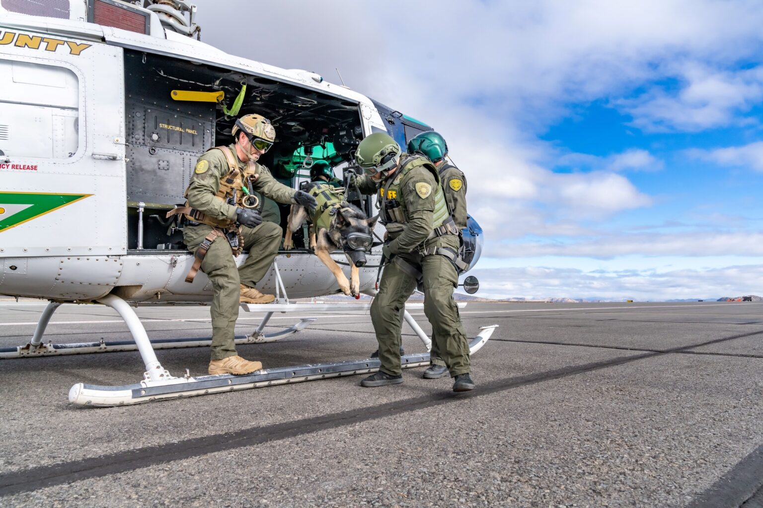 K9s Train for Raven. | WASHOE COUNTY K9 PARTNERS